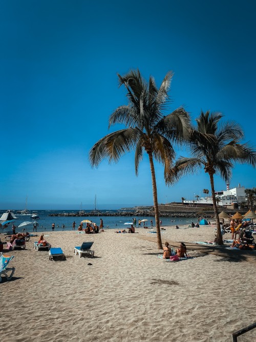 22 Best Beaches in South Tenerife With Map and Overview