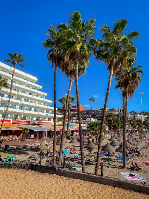 22 Best Beaches in South Tenerife With Map and Overview