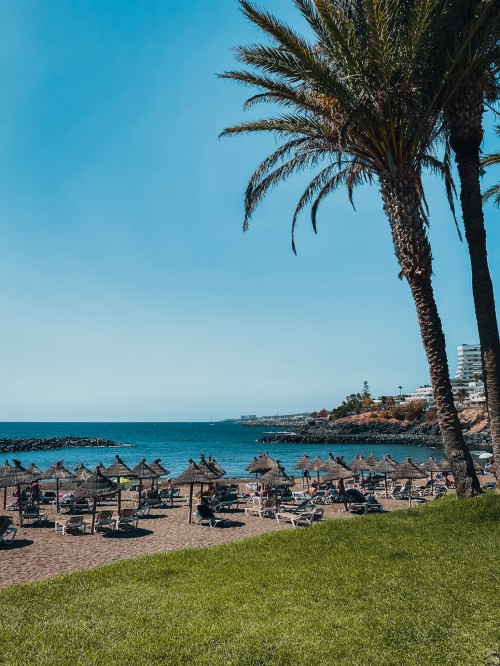 22 Best Beaches in South Tenerife With Map and Overview