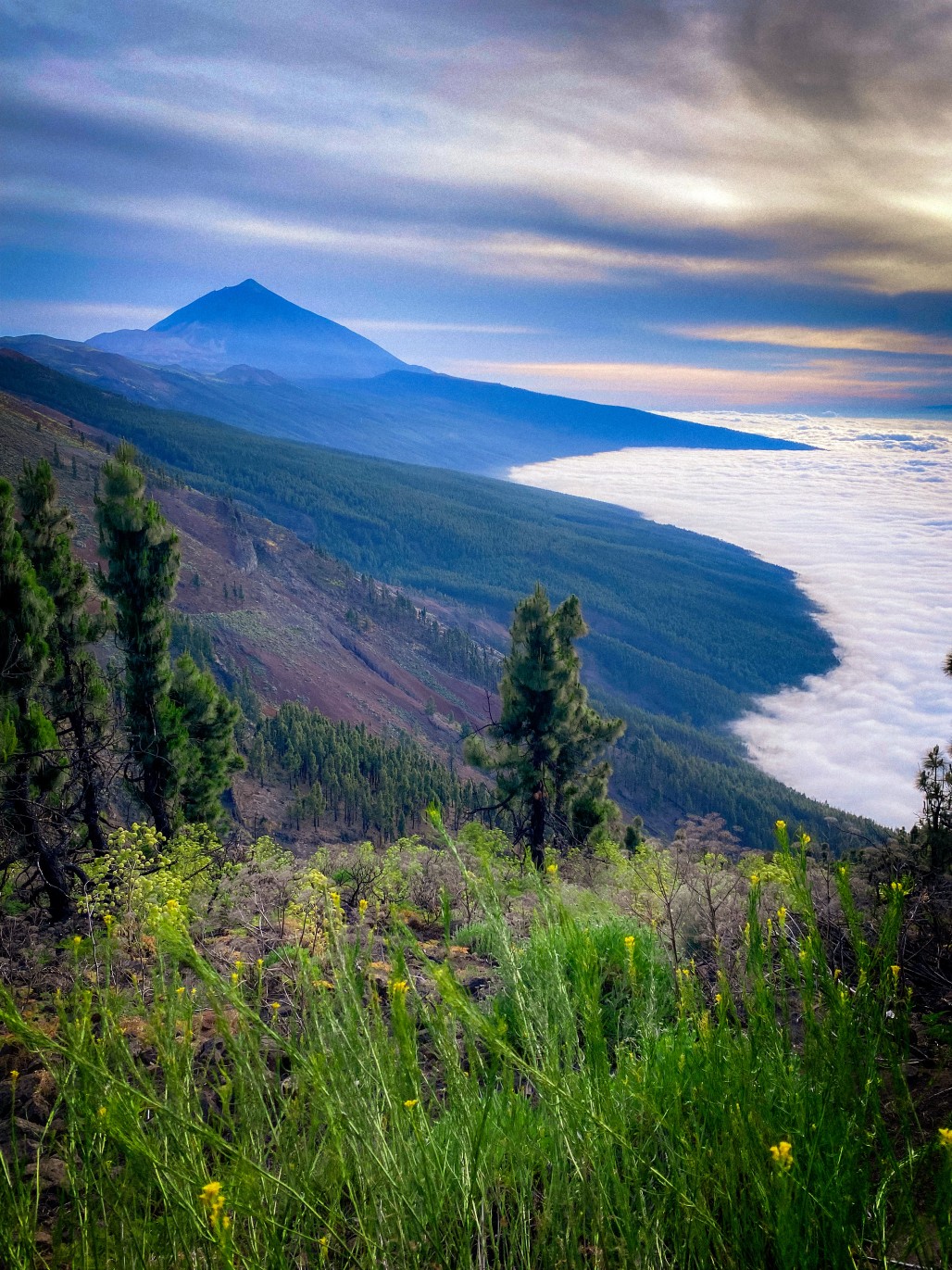 Top 31 Places to Visit in Tenerife – Complete Travel Guide with Maps
